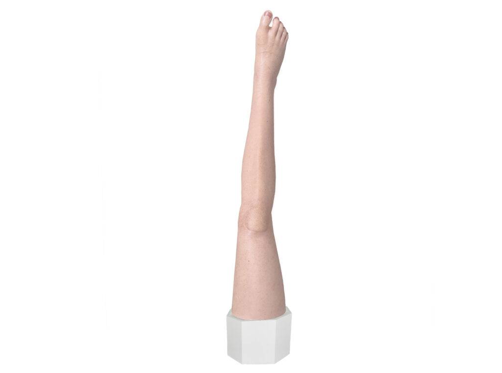 Base Model Leg without Wounds